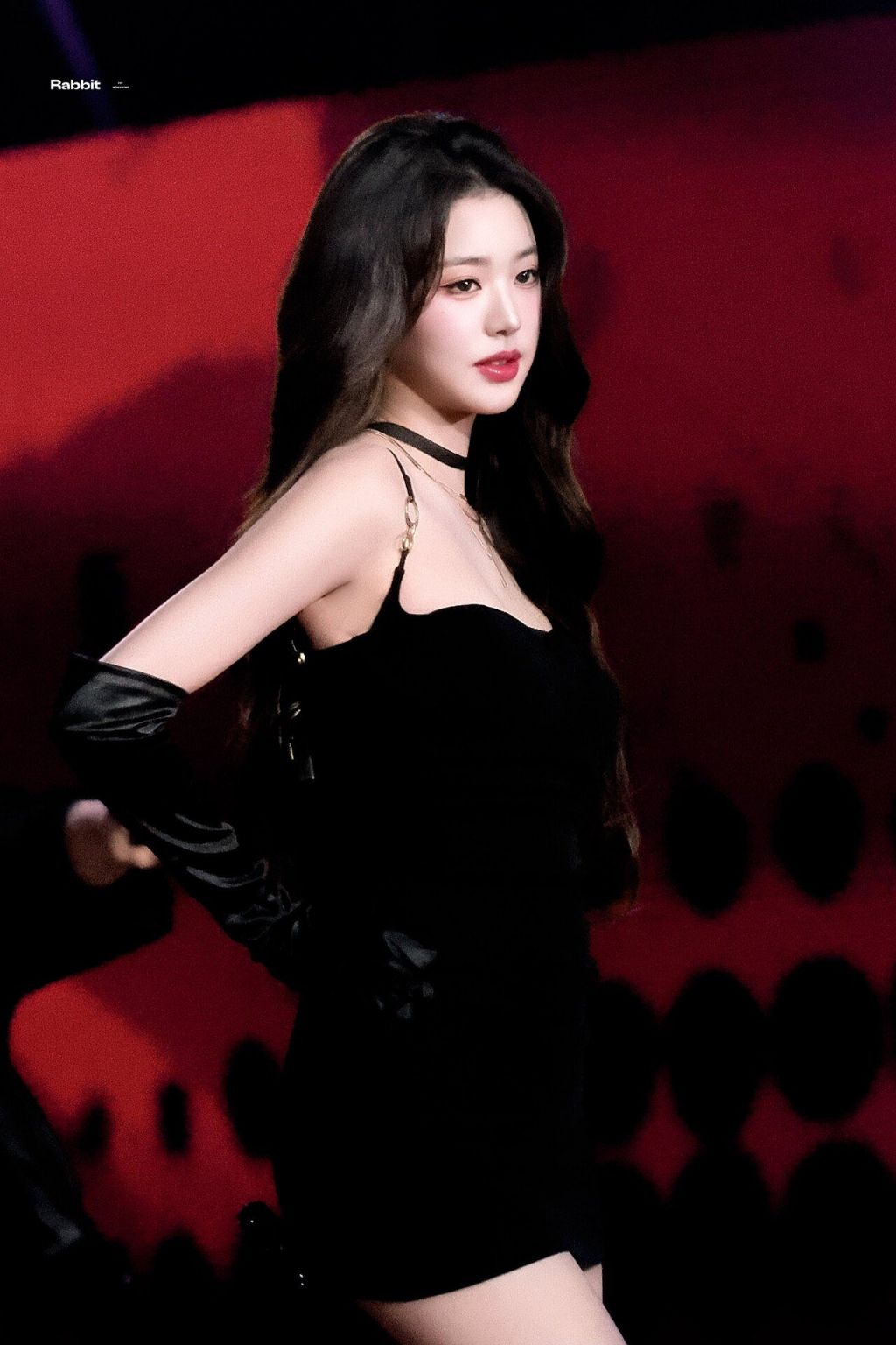 Daum 카페