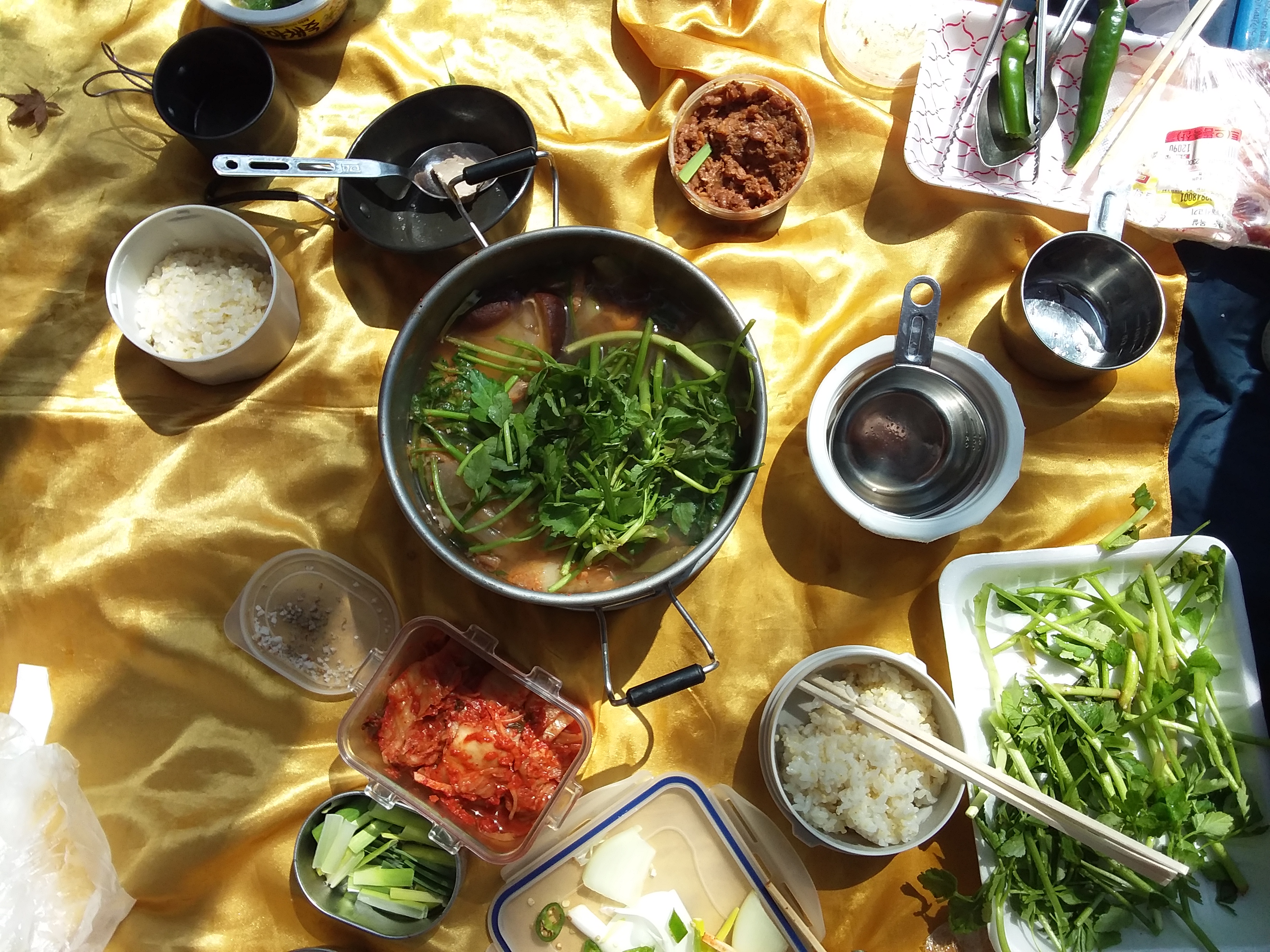 봄산 - 김대표와 주말산행 - MJ백두대간