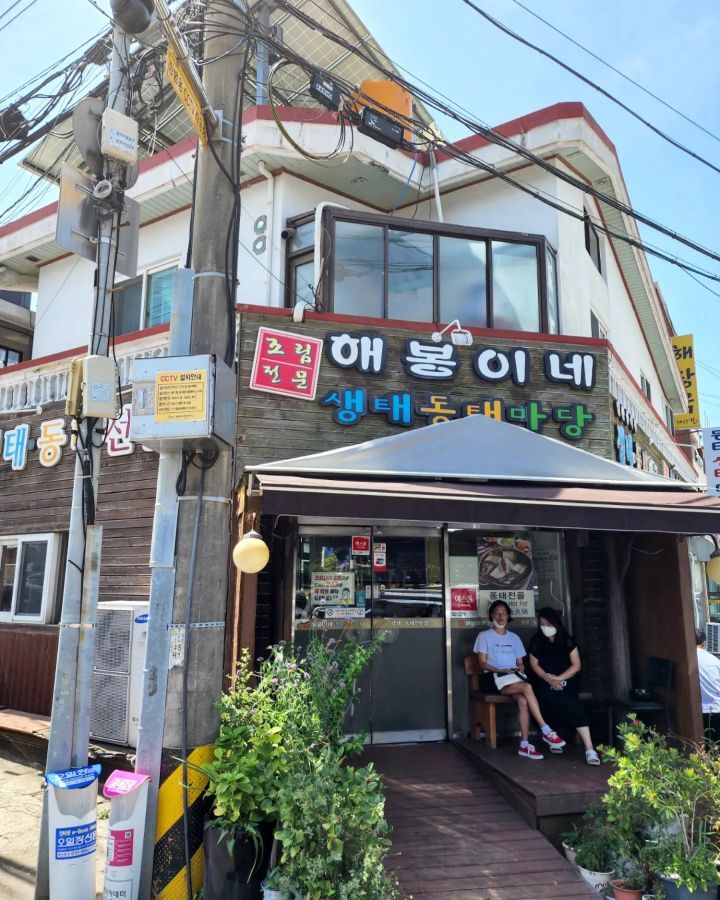 Daum 카페