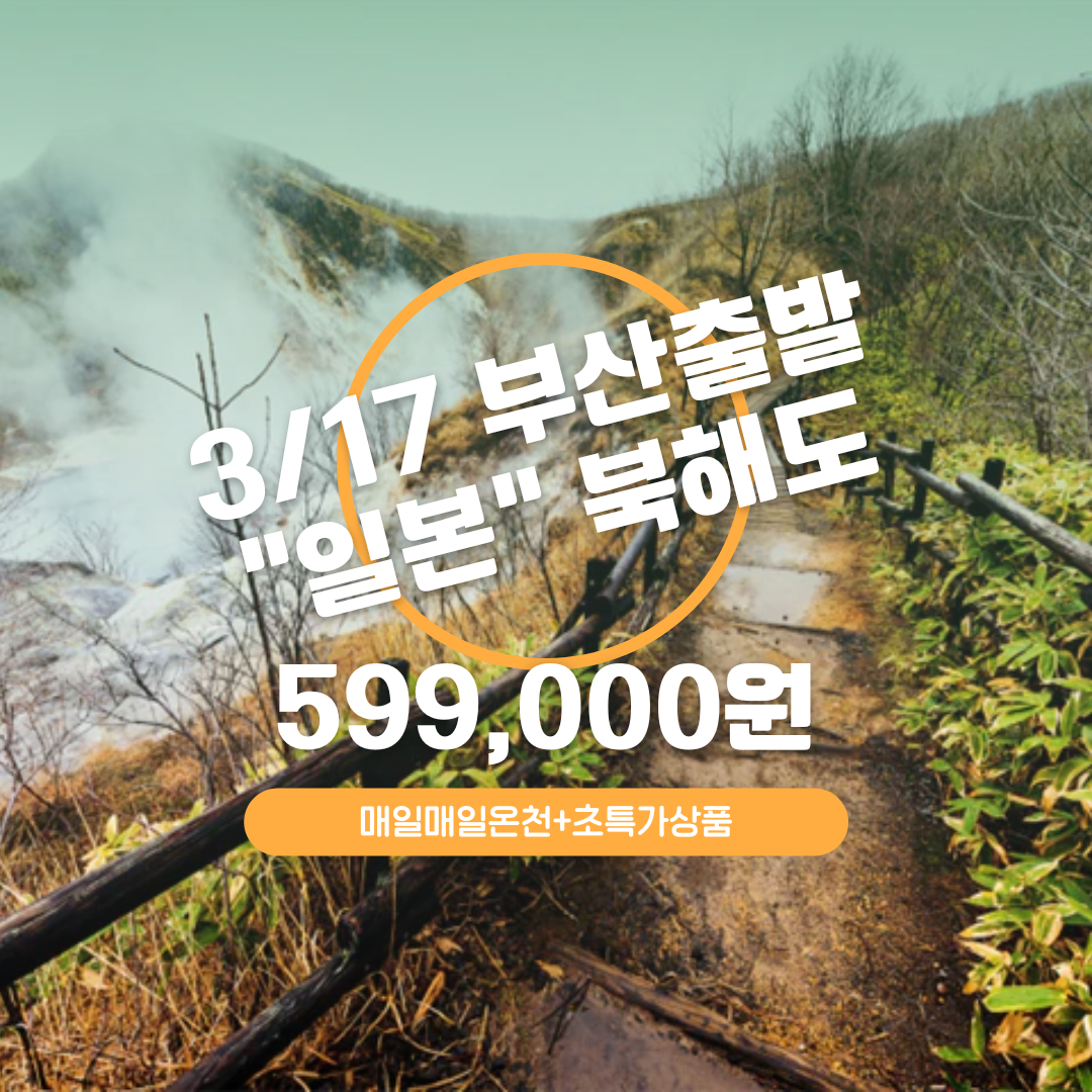 Daum 카페