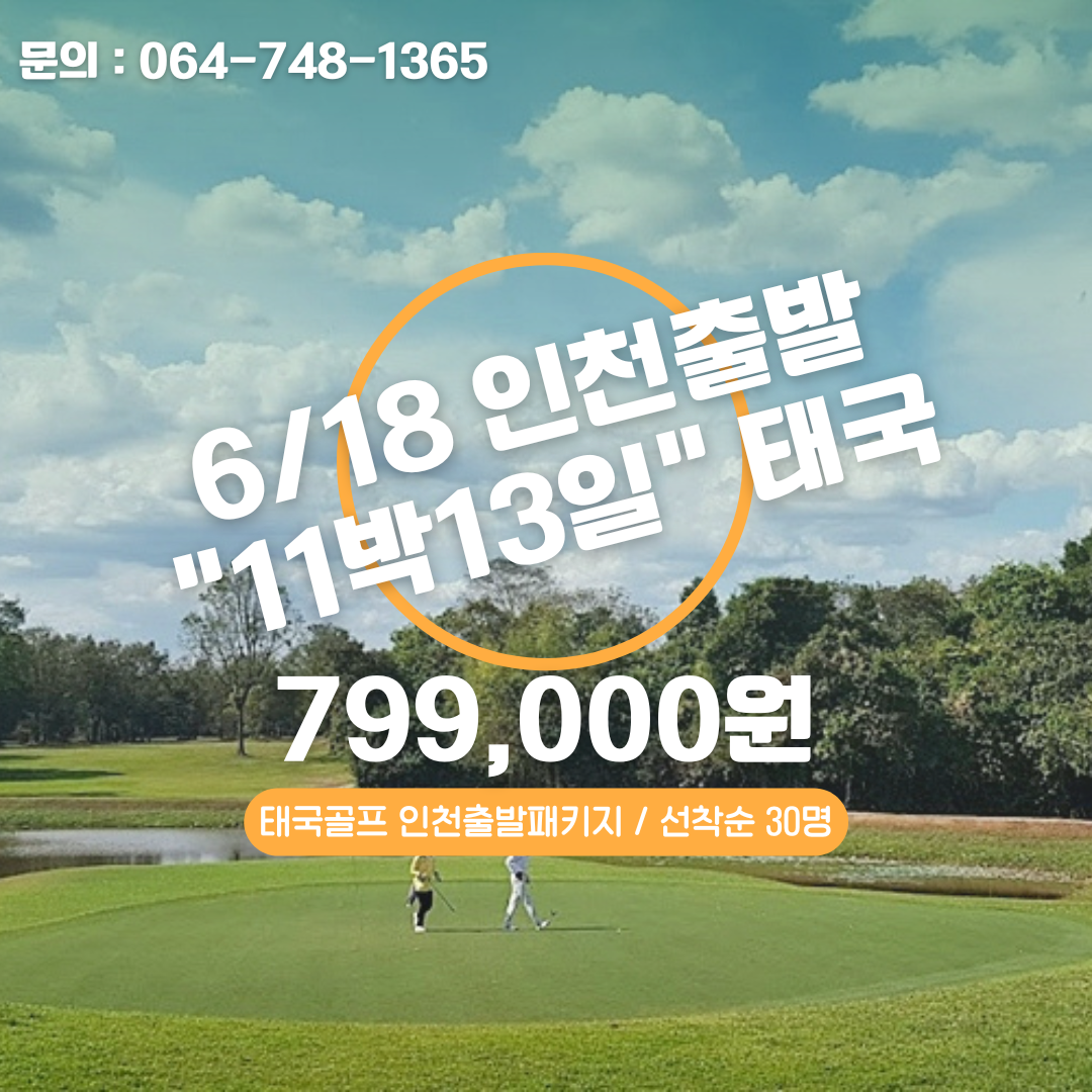Daum 카페