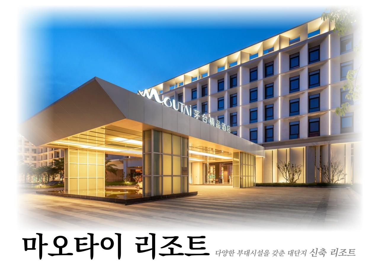 Daum 카페