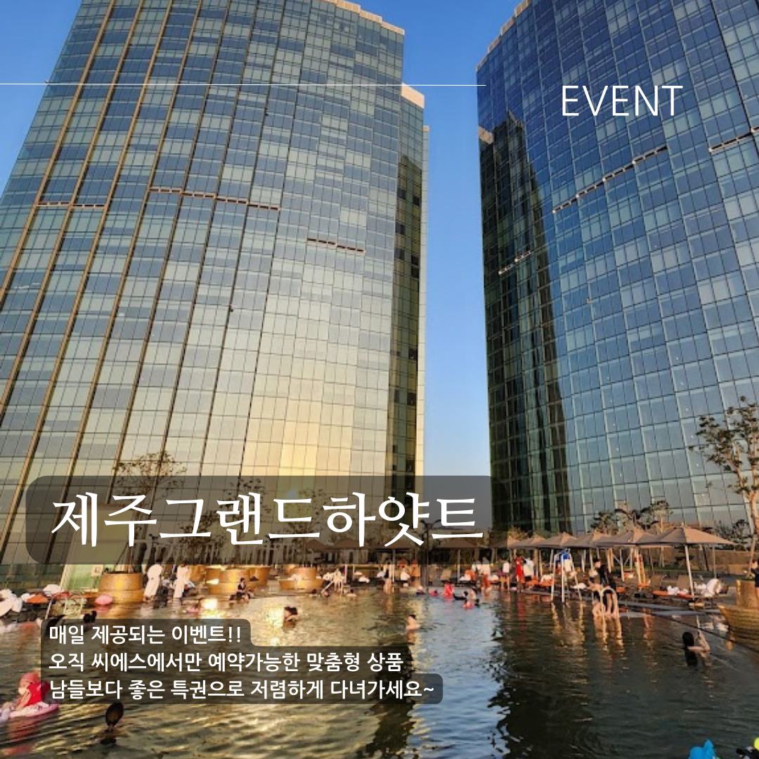 Daum 카페