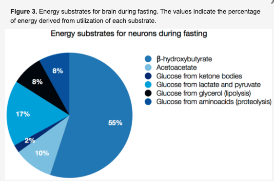 케톤체(BHB, 베타-하이드로뷰티레이트) 대하여 - 2019 리뷰논문 - 생리학, 생화학 - 치료적 맞춤운동, 비타미네, 영성 연구소