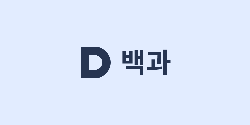 Daum 백과