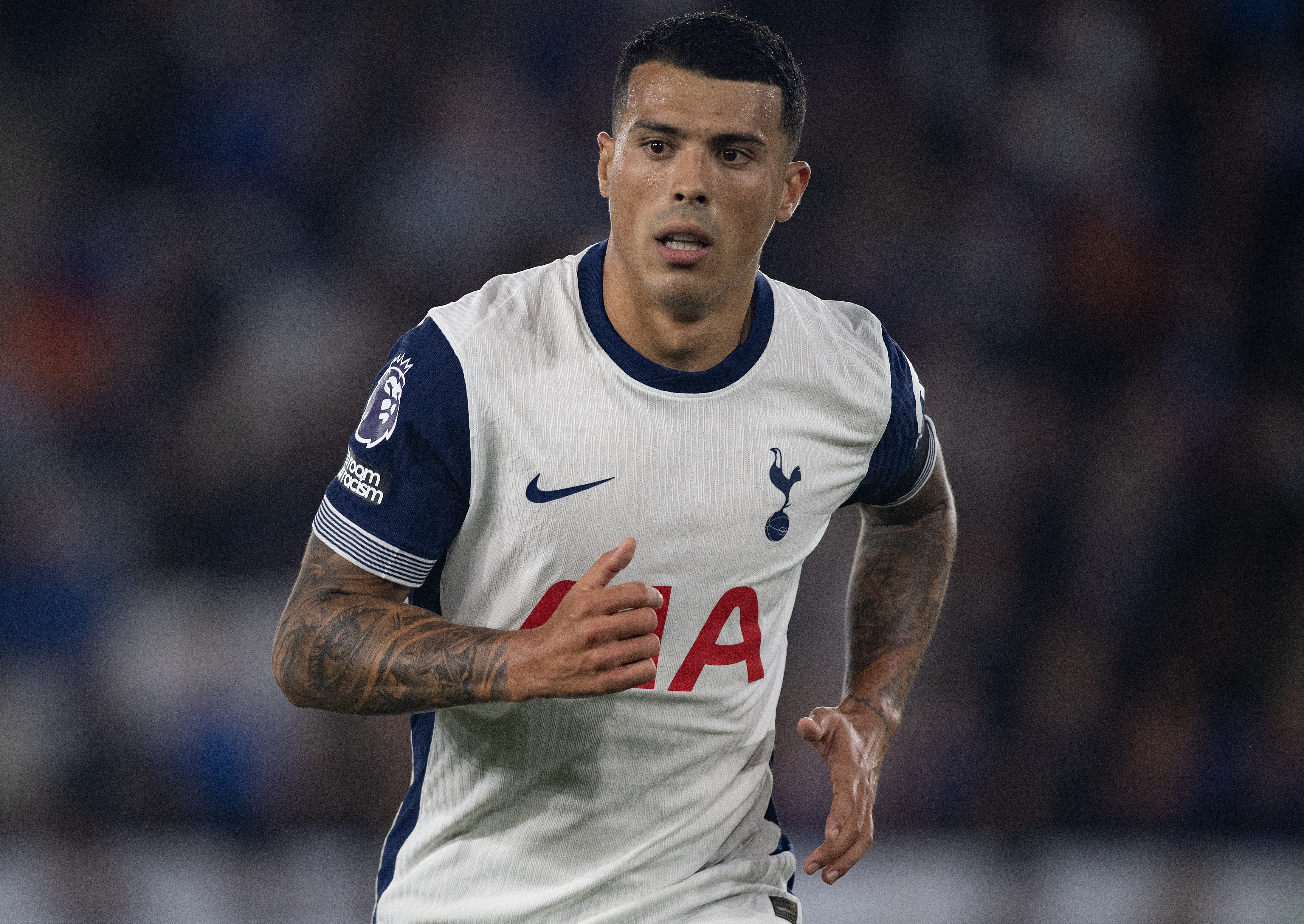 다음스포츠 | 페드로 포로