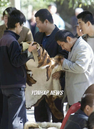 CHINA TIGER SKIN TRADE