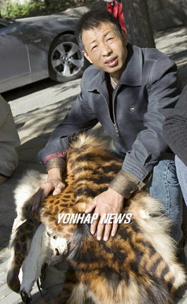 CHINA TIGER SKIN TRADE