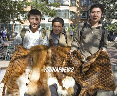 CHINA TIGER SKIN TRADE