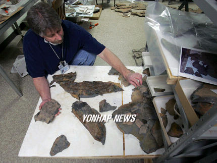 APN Ancient Tree (AP)