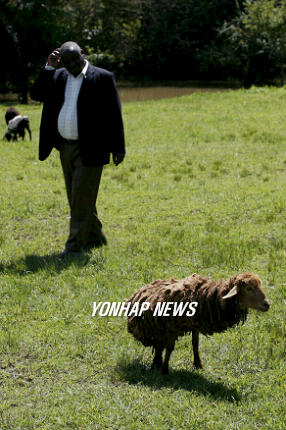 KENYA DEFORMED ANIMALS