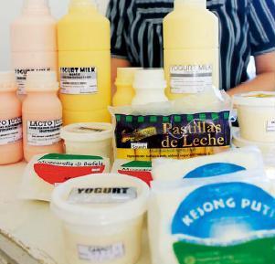 Jump starting dairy industry with carabao milk