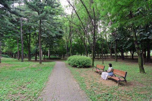 [Rediscover Seoul 89] Yangjae Citizen's Forest and Yangjaecheon