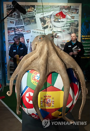 GERMANY SOCCER FIFA OCTOPUS