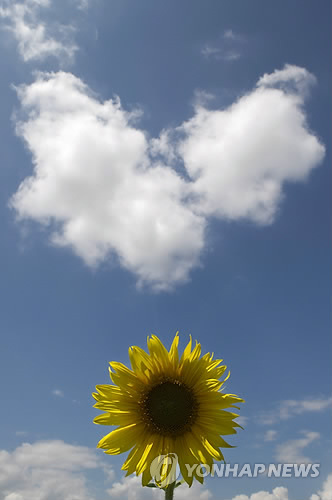 SWITZERLAND WEATHER FLOWER
