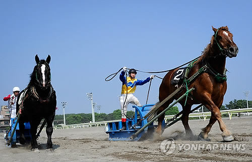 JAPAN HORSE RACE