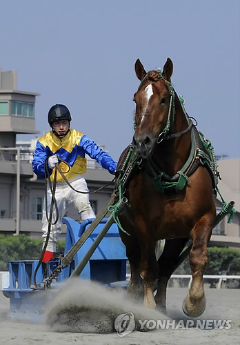 JAPAN HORSE RACE