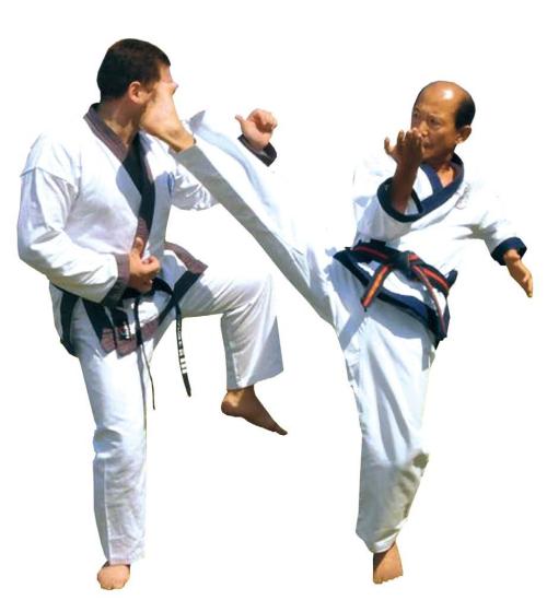 Soo bahk do ― Korea's other martial art