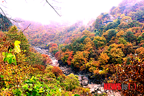 지리산 백무동 계곡에 단풍 절정