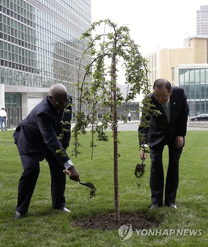 USA NEW YORK UN WWII TREE
