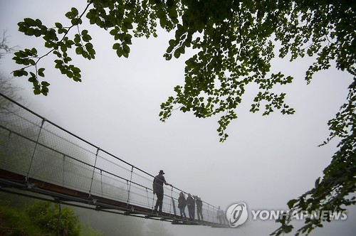 SWITZERLAND ROPE BRIDGE