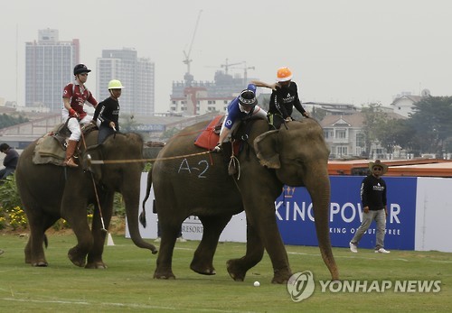 Thailand Elephant Polo