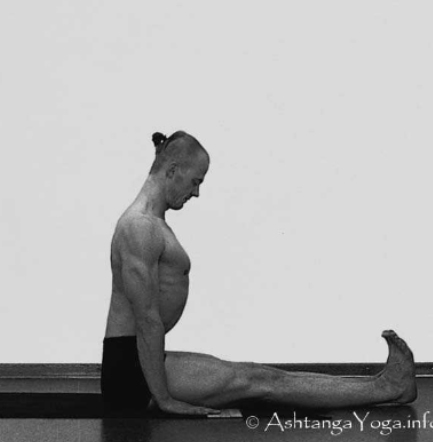 [요가? 뭐가?] (18) 다리 뻗고 바르게 앉아보기 (단다아사나 Danda asana)