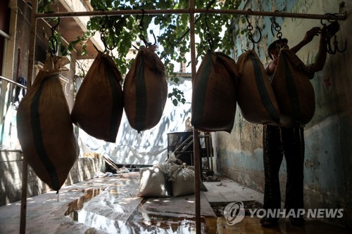 SYRIA MUSHROOM GROWING