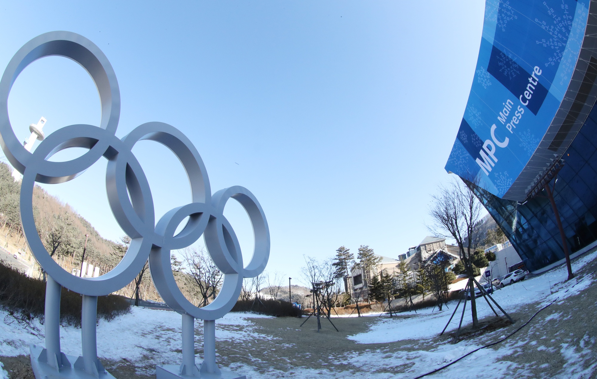 어서와 동계올림픽은 처음이지? 6개 국가 대표팀의 면면