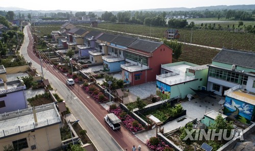 CHINA-SHAANXI-LUONAN-ROSE (CN)