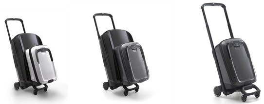 부가부 박서, 신제품 '기내용 케이스 퓨어' 출시