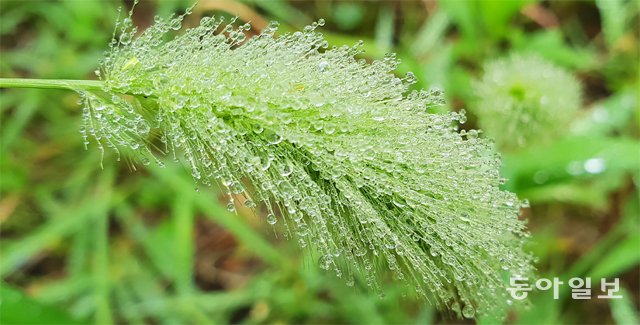 [포토 에세이]열매