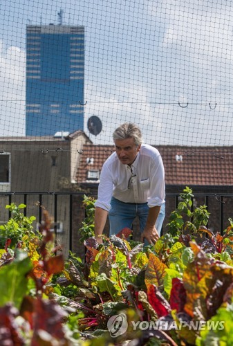 BELGIUM URBAN FARMING