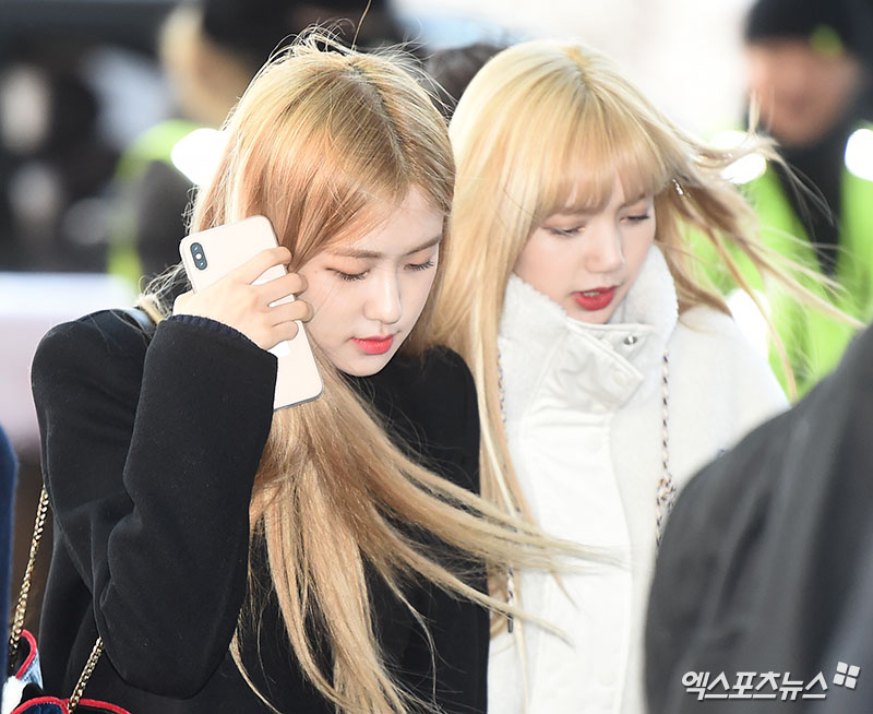 Black Pink Rose - Lisa 'swinging in gold'