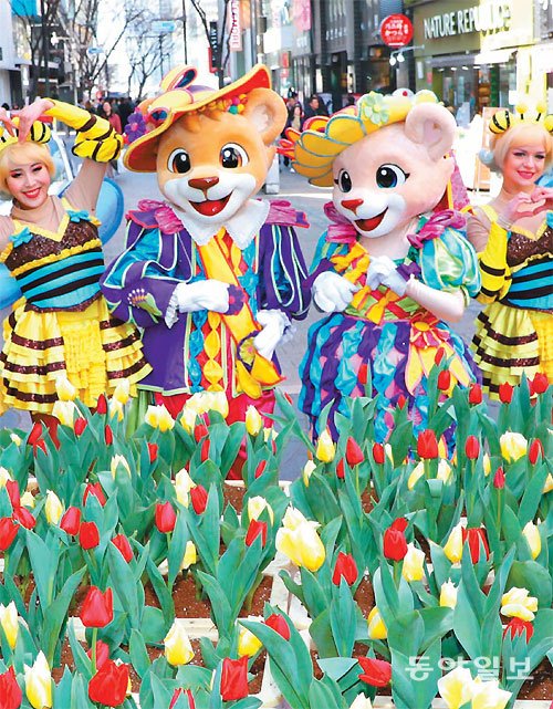 "활짝 핀 에버랜드 튤립 보러오세요"