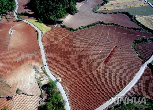 CHINA-YUNNAN-MILE-SCENERY (CN)