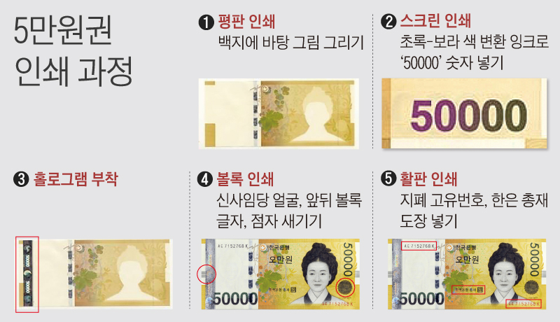 어디 계세요? 지갑과 지하 사이 어딘가에.. 신사임당 100兆