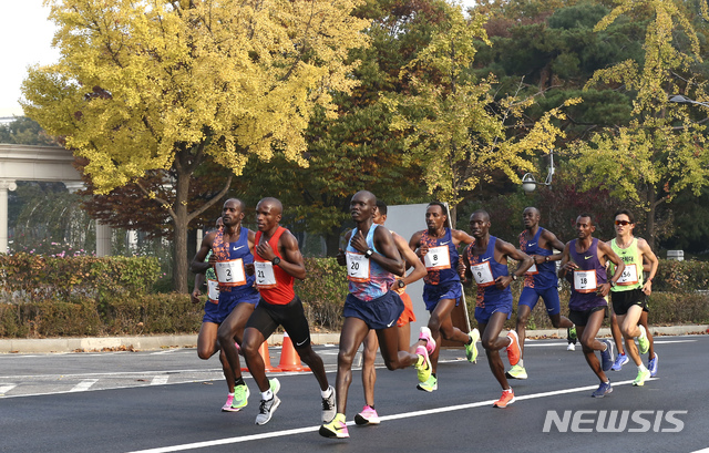 힘차게 달리는 마라톤 선수들