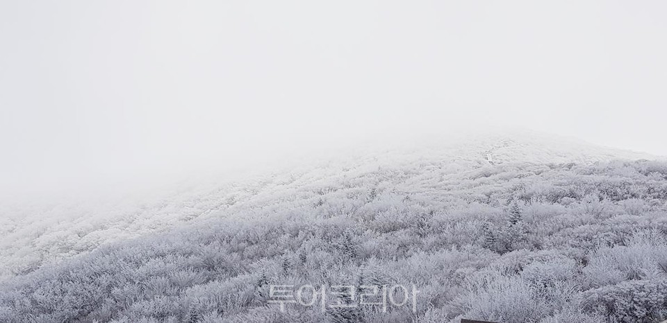 [포토] 첫눈에 하얗게 변한 지리산 노고단 '설경'..체감온도 '뚝'