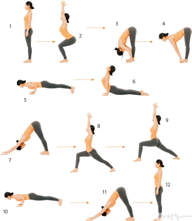 [yoga] 다이어트에 도움이 되는 베스트 요가 자세