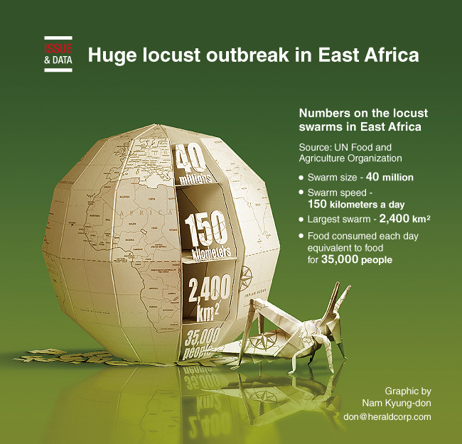 [Graphic News] Huge locust outbreak in East Africa