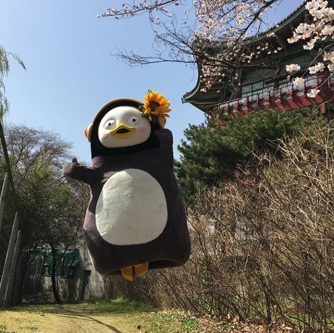 EBS takes action to protect copyrights over Pengsoo