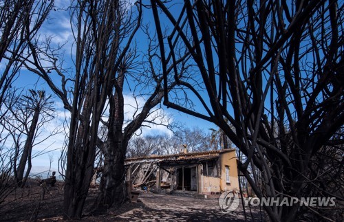 epaselect SPAIN FOREST FIRE