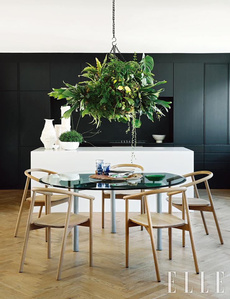 집 안에 아름다운 정글을 들이다