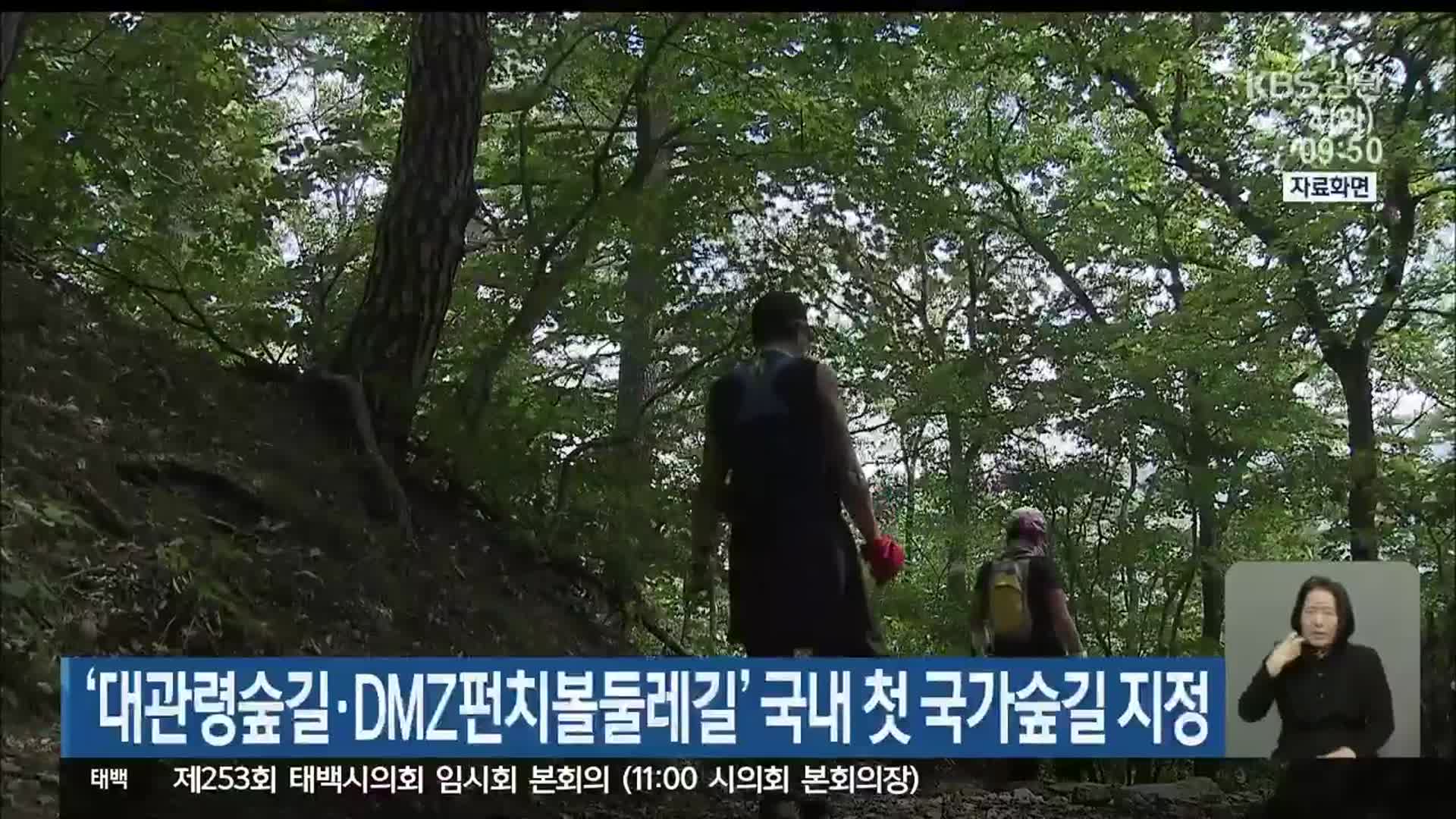 '대관령숲길·DMZ펀치볼둘레길' 국내 첫 국가숲길 지정