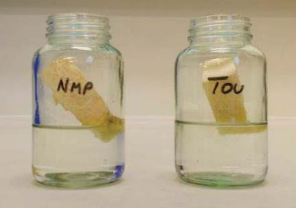 미래교역, 벨기에 람비오떼 'TOU' 독점 공급