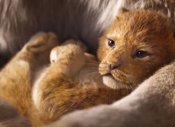 실사판, 2019년 7월 재개봉 예정!!