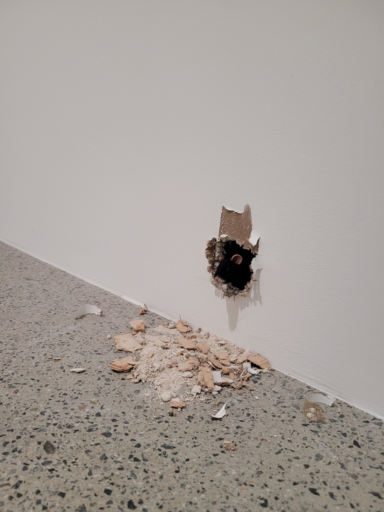 Ryan Gander's 'prophetic' works come to Space K in Seoul