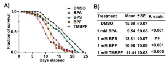 "비스페놀A 대체물질도 수명단축에 영향"