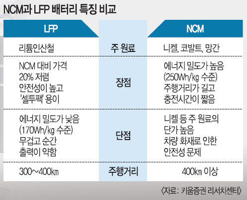 테슬라가 미는 LFP 배터리, 전기차 시장 '주류' 될까